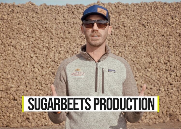 Produce Wire - Food Industry News, Farming, Restaurants