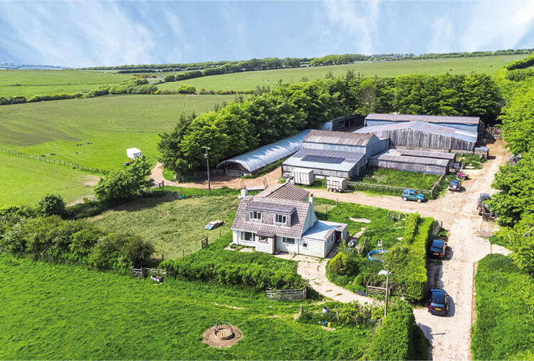 Two Devon farms come to market