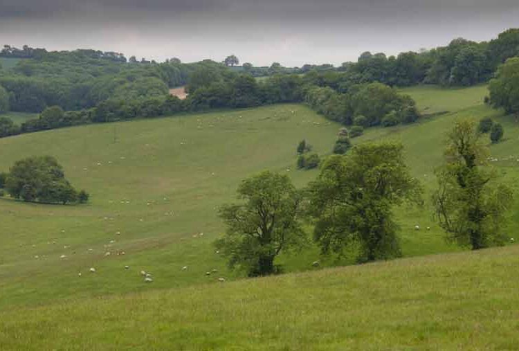 Land Use Framework won’t be ‘communist’, says Defra minister