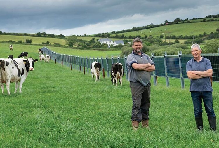 How dairy’s solar fence captures energy at peak demand