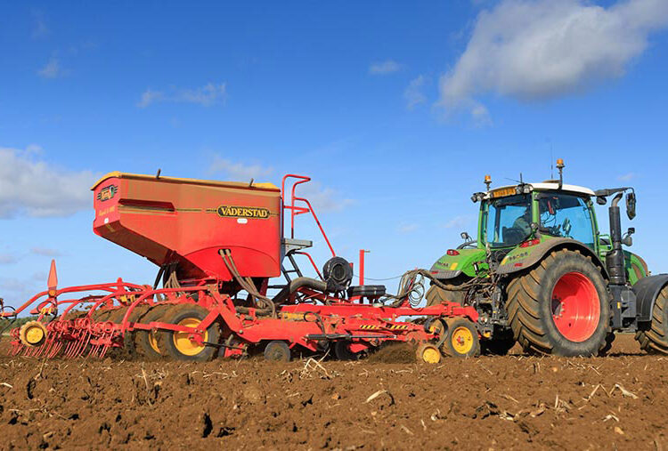 Seed sales show heavy reliance on limited number of varieties