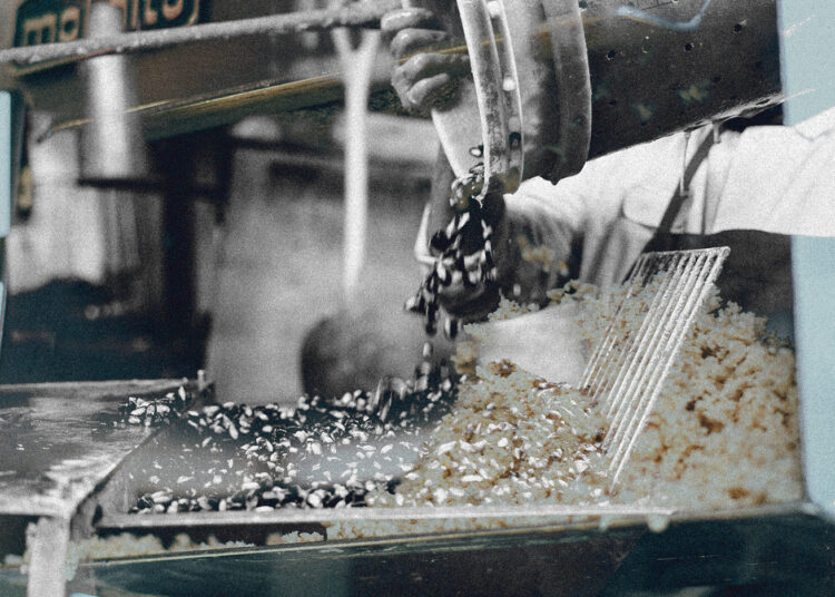 Meet the Women Who Are Changing the Midwest Masa Game